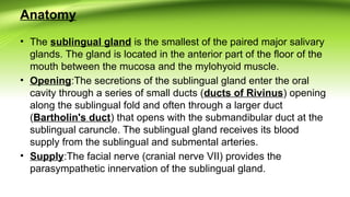 Salivary gland parotid gland submandibular gland | PPTX
