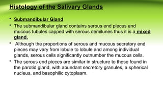 Salivary gland parotid gland submandibular gland | PPT