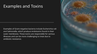 Gram Negative and Gram Positive Bacteria | PPTX