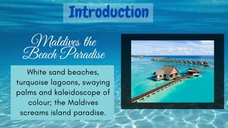 Maldives | PPTX | Hotels and Motels | Travel Type