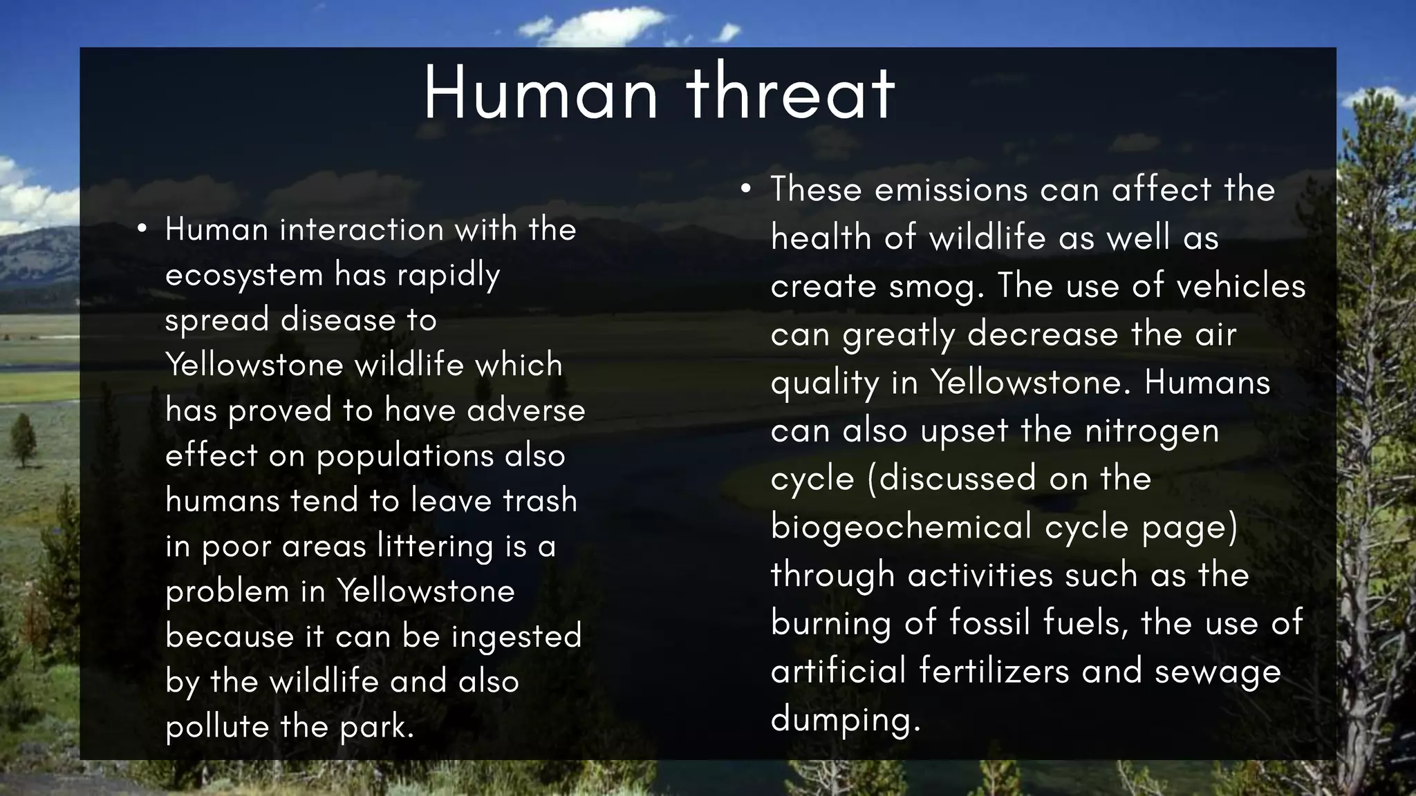Geo Tourism based on biodiversity zones of the world (animal diversity ...