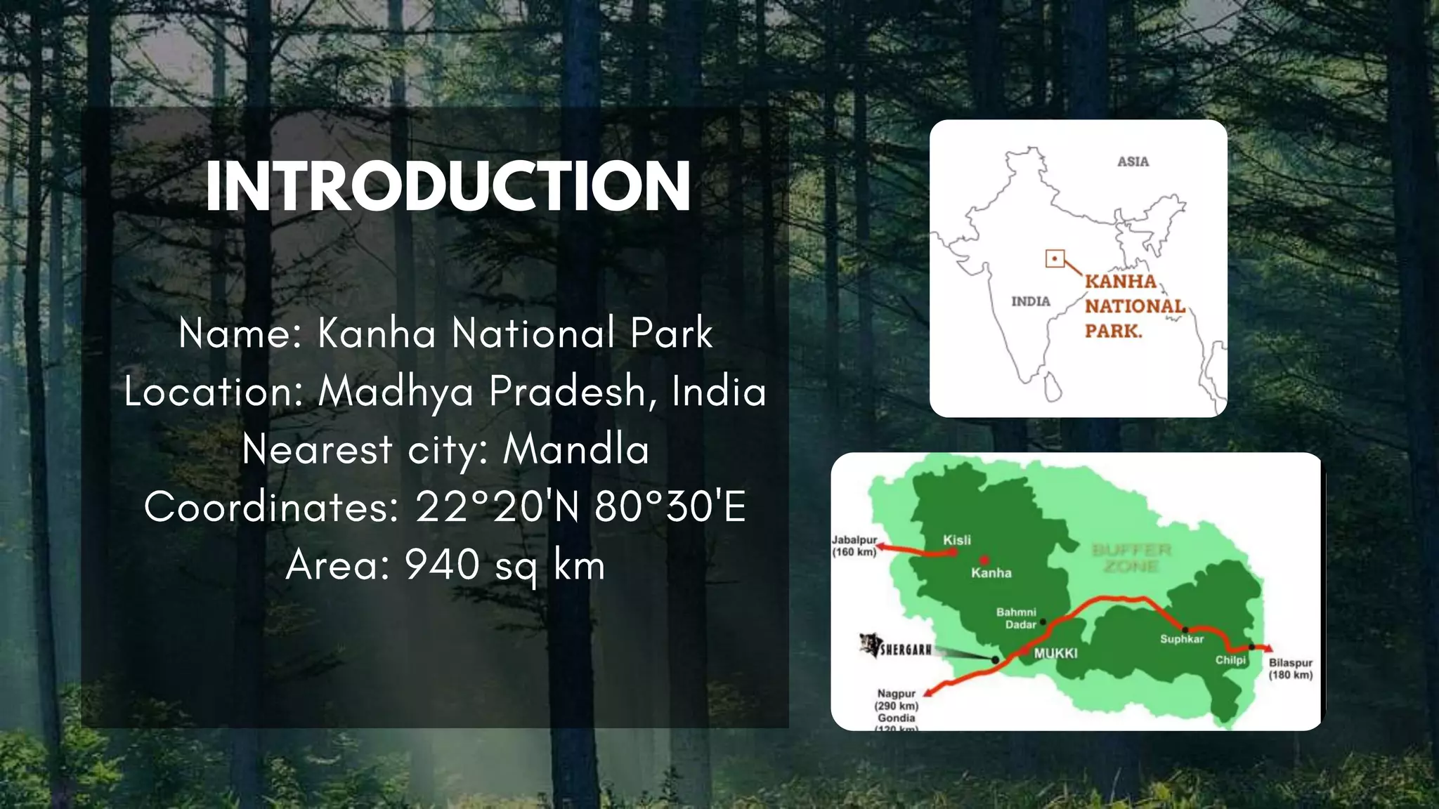Geo Tourism based on biodiversity zones of the world (animal diversity ...