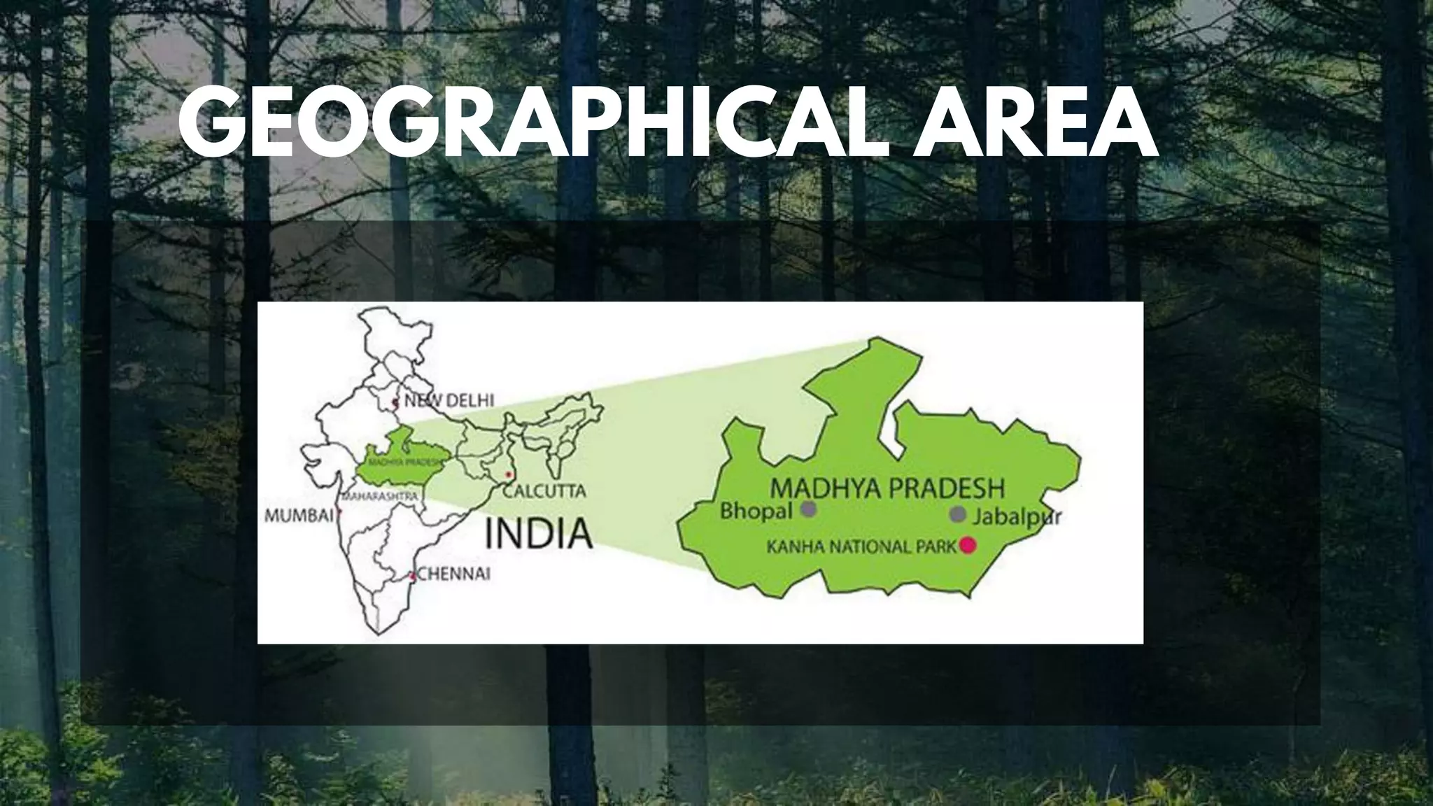 Geo Tourism based on biodiversity zones of the world (animal diversity ...