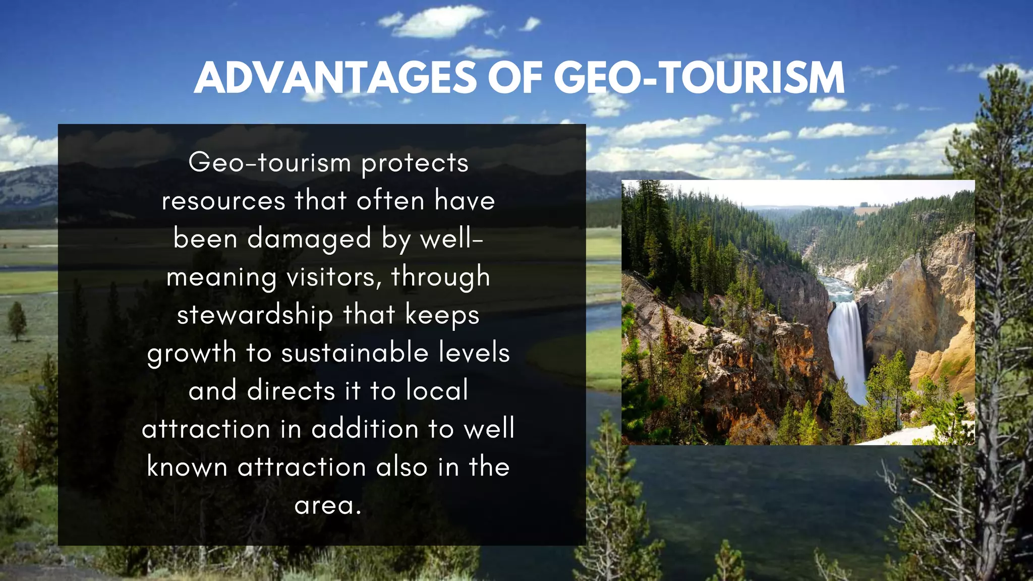 Geo Tourism based on biodiversity zones of the world (animal diversity ...