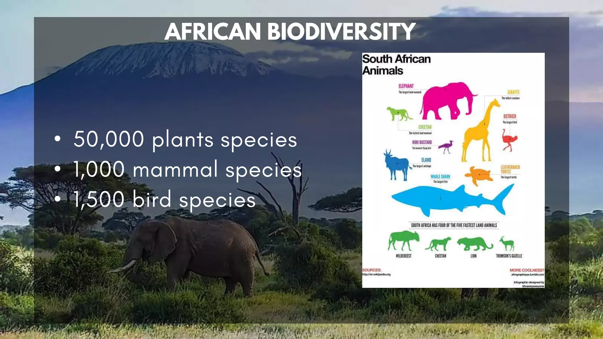 Geo Tourism based on biodiversity zones of the world (animal diversity ...