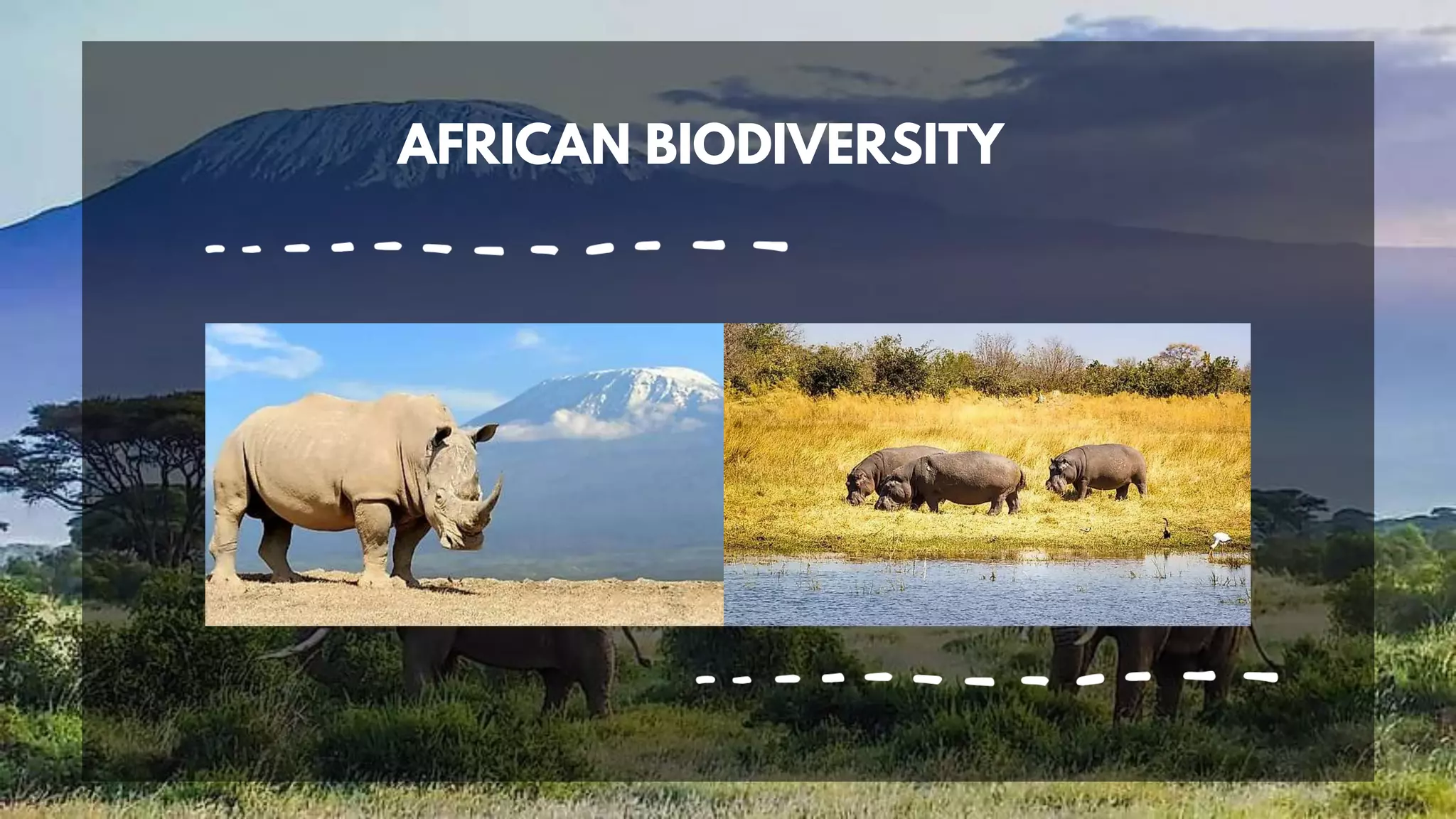 Geo Tourism based on biodiversity zones of the world (animal diversity ...