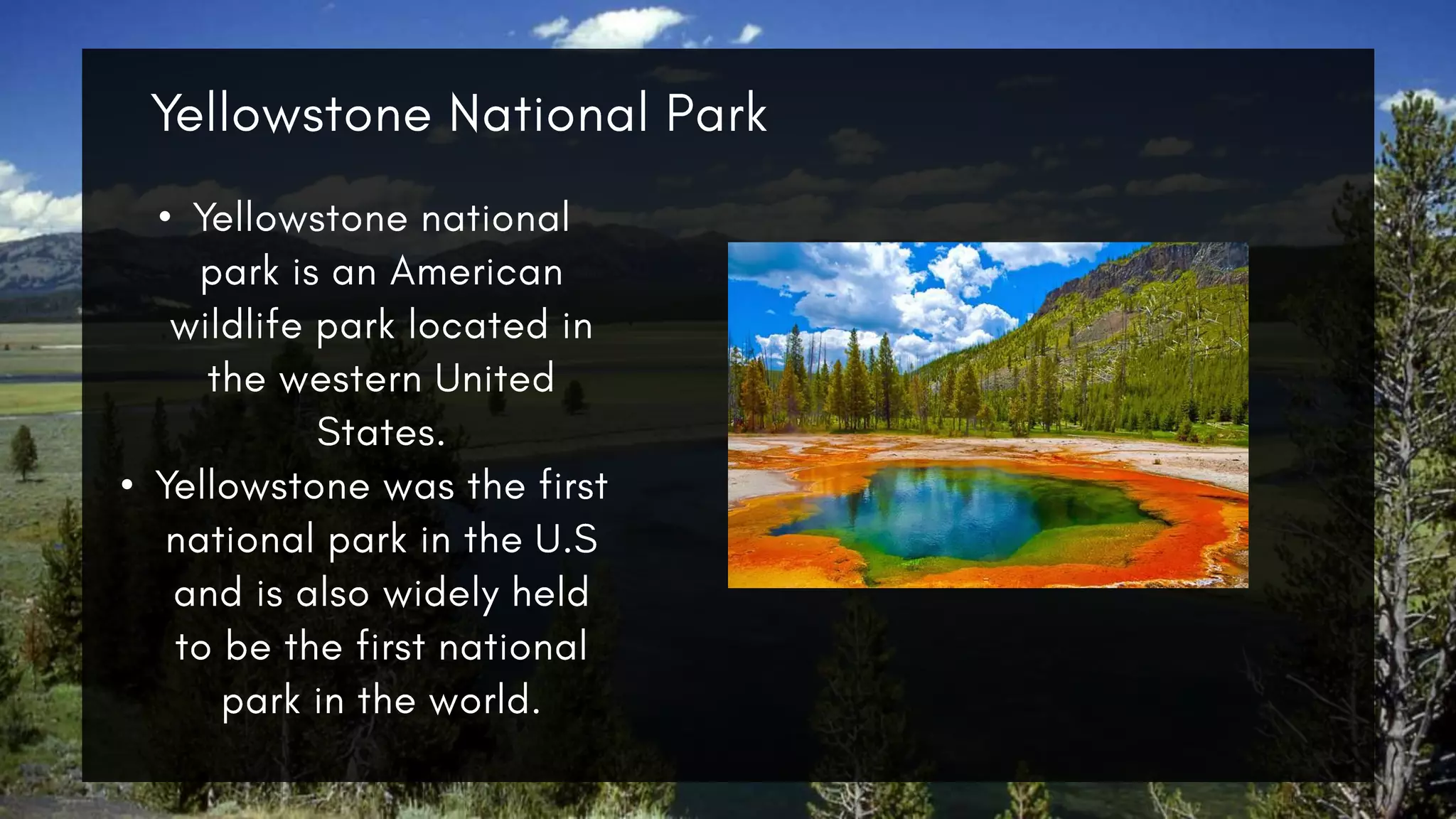 Geo Tourism based on biodiversity zones of the world (animal diversity ...