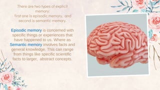 Long term memory | PPT