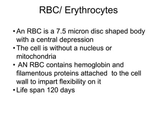 Blood composition_ Physiology | PPT