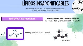 Lípidos: estructura, clasificación y metabolismo | PPT