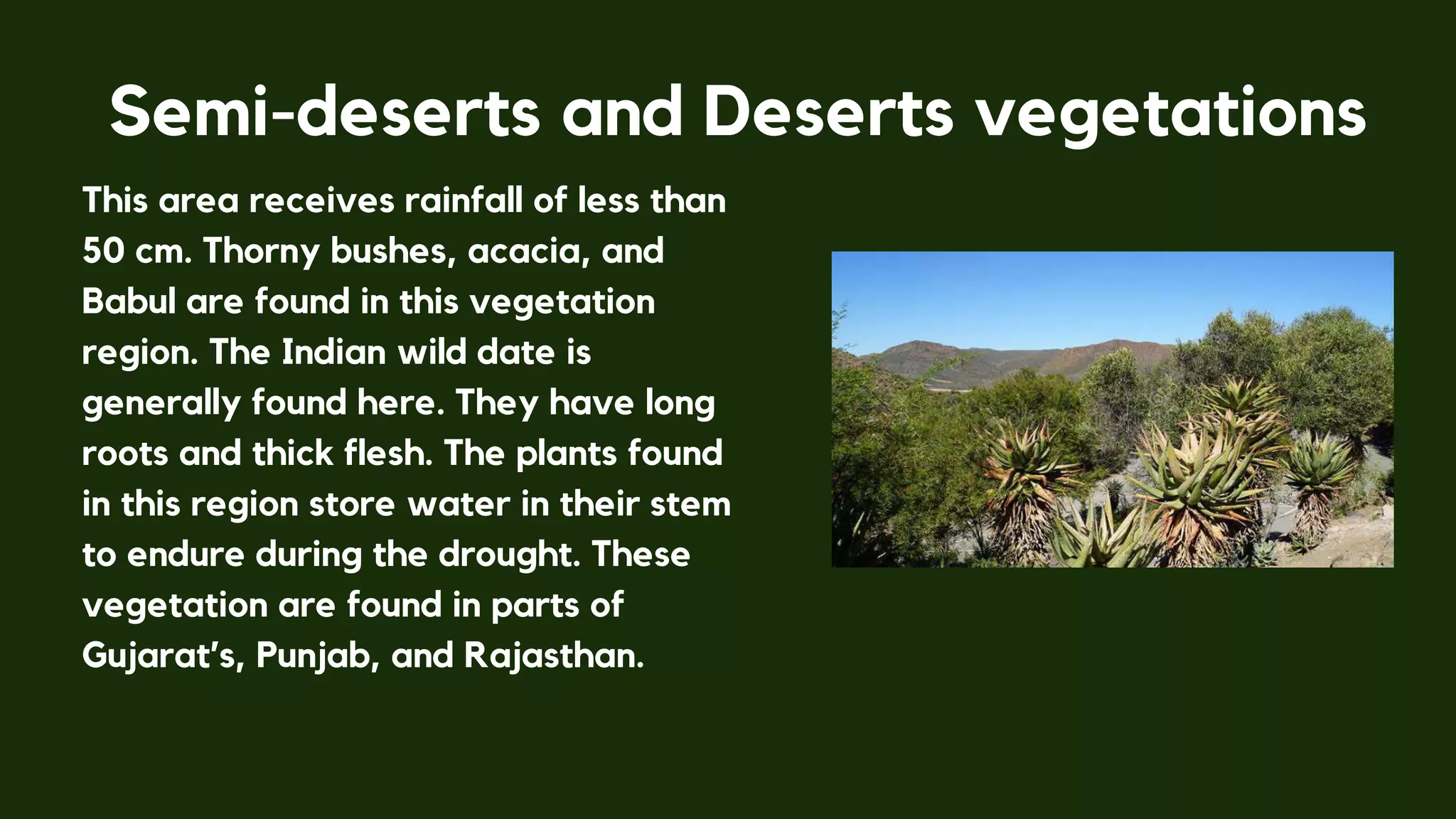 Natural vegetation of india | PPTX