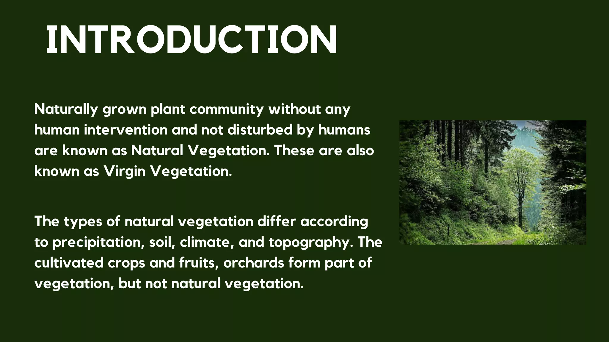Natural vegetation of india | PPTX
