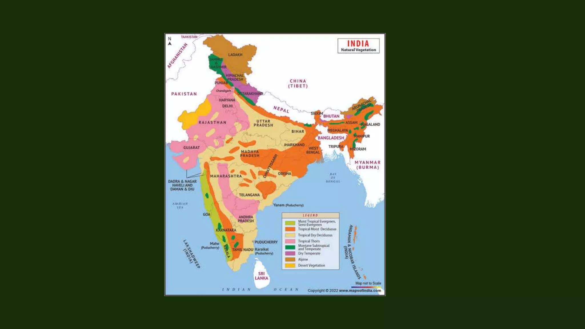 Natural vegetation of india | PPTX