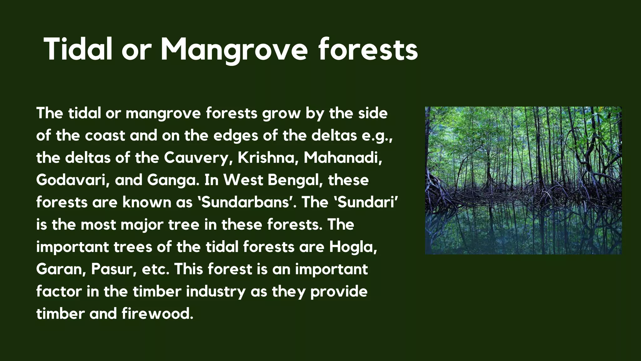 Natural vegetation of india | PPTX