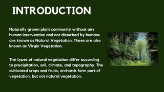 Natural vegetation of india | PPTX
