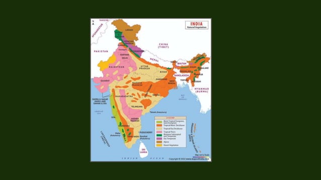 Natural vegetation of india | PPTX | Weather | Science