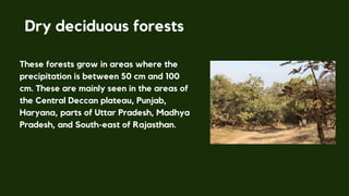 Natural vegetation of india | PPTX