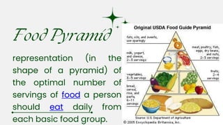 FOOD GROUPS NECESSARY IN HUMAN DIET | PPT