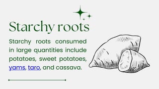 FOOD GROUPS NECESSARY IN HUMAN DIET | PPT