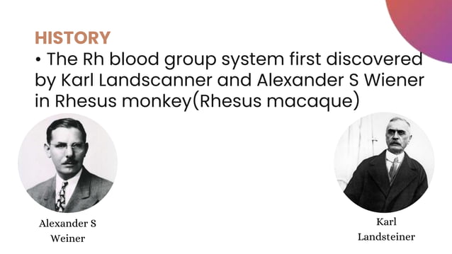 RHESUS BLOOD GROUPING SYSTEM | PPTX | Blood Disorders | Diseases and ...