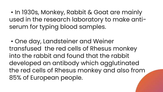 RHESUS BLOOD GROUPING SYSTEM | PPTX | Blood Disorders | Diseases and ...