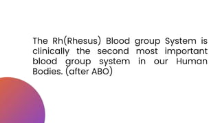 RHESUS BLOOD GROUPING SYSTEM | PPT