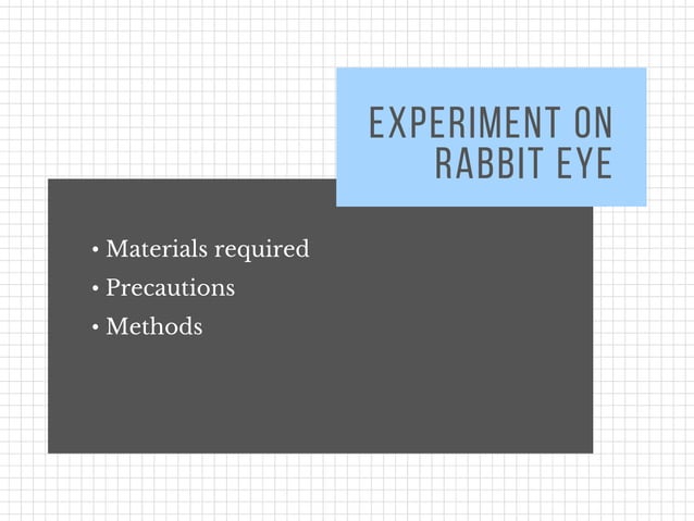 Effect of drugs on rabbit eye.pptx