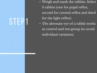 Effect of drugs on rabbit eye.pptx