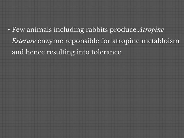 Effect of drugs on rabbit eye.pptx