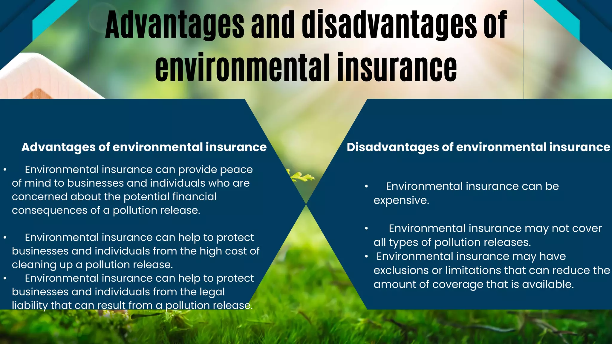 Environmental insurance, types , advantages and disadvantages ...