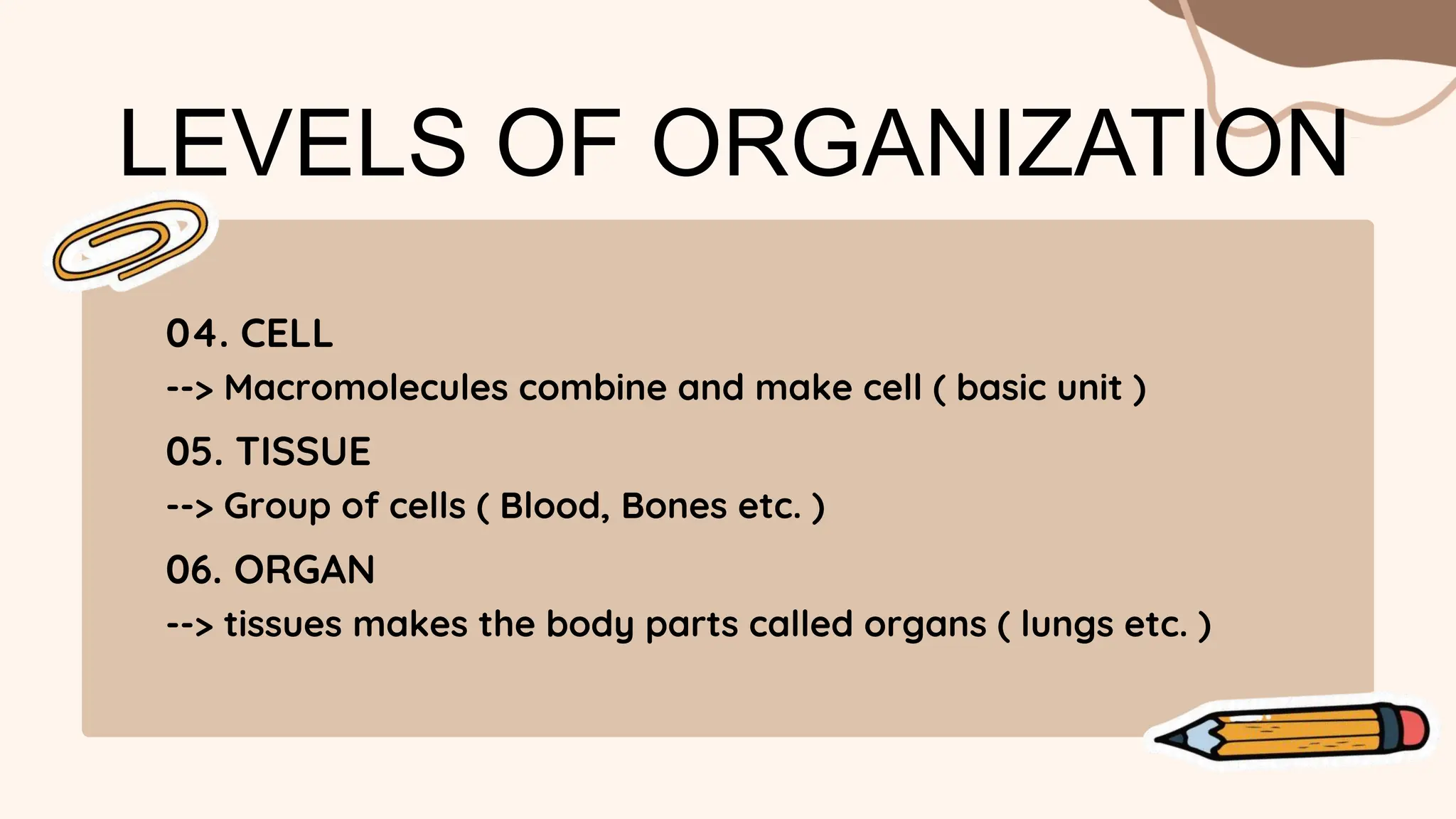 Biology.pptx
