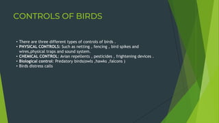 pptx_20230706_154716_0000.pptx