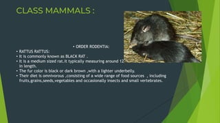 pptx_20230706_154716_0000.pptx