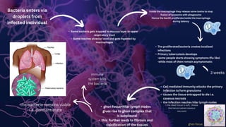 My presentation on tuberculosis disease. | PPT