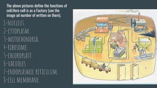 Cell and micro organisms | PPTX