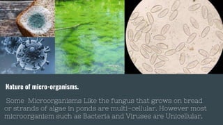 Cell and micro organisms | PPTX