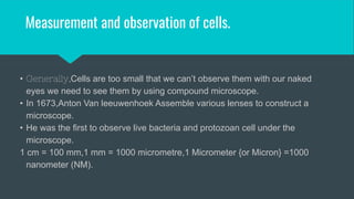 Cell and micro organisms | PPTX