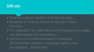 Cell and micro organisms | PPTX