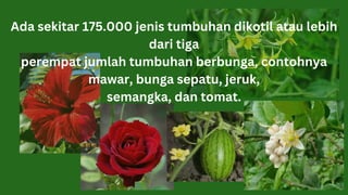 pptx_20230728_010314_0000.pptx