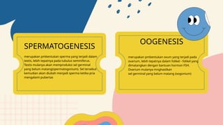 Gametogenesis (pembentukan sel kelamin pada manusia) | PPTX