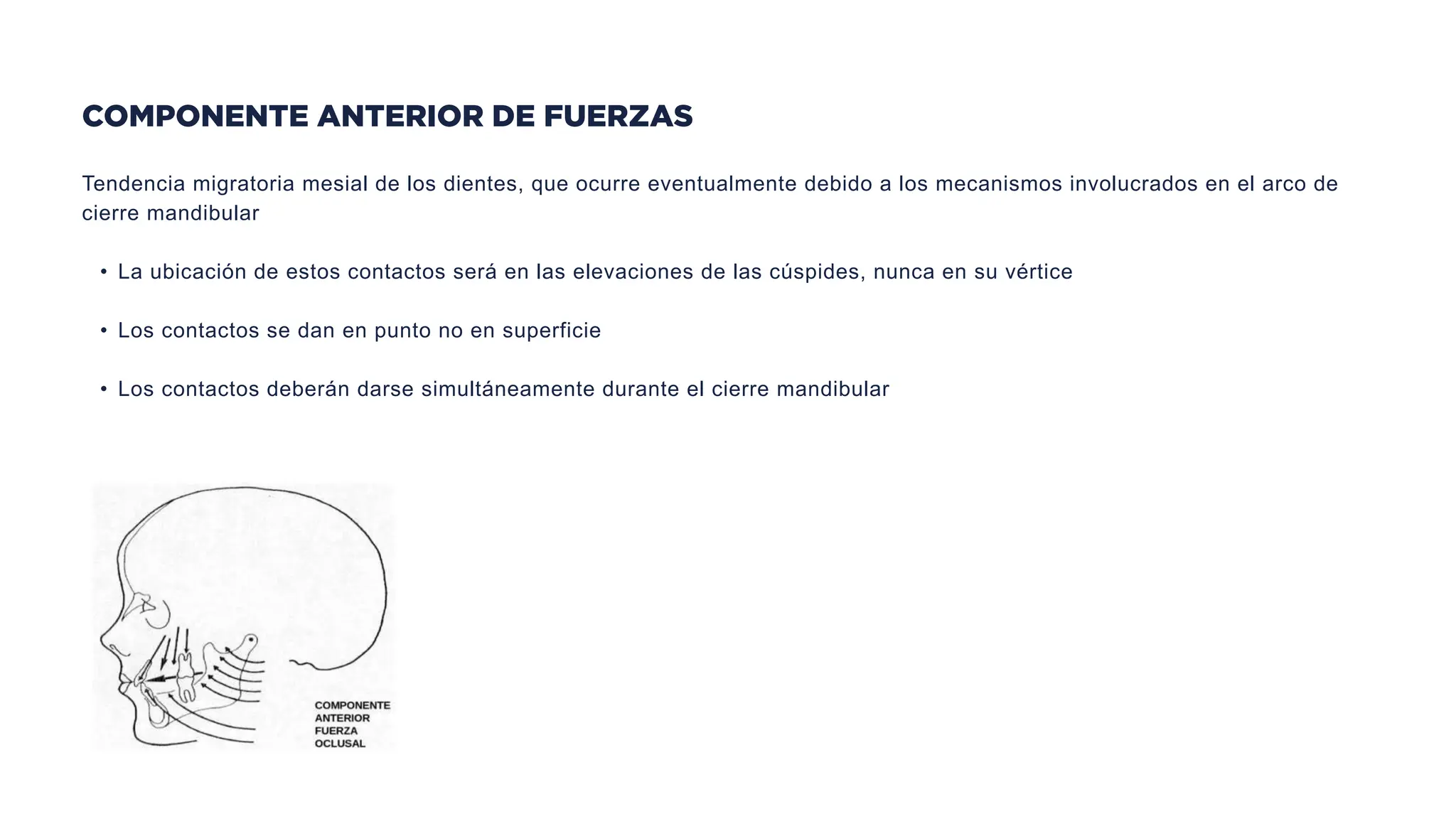 Morfología oclusal, materia de oclusión 1 | PPTX