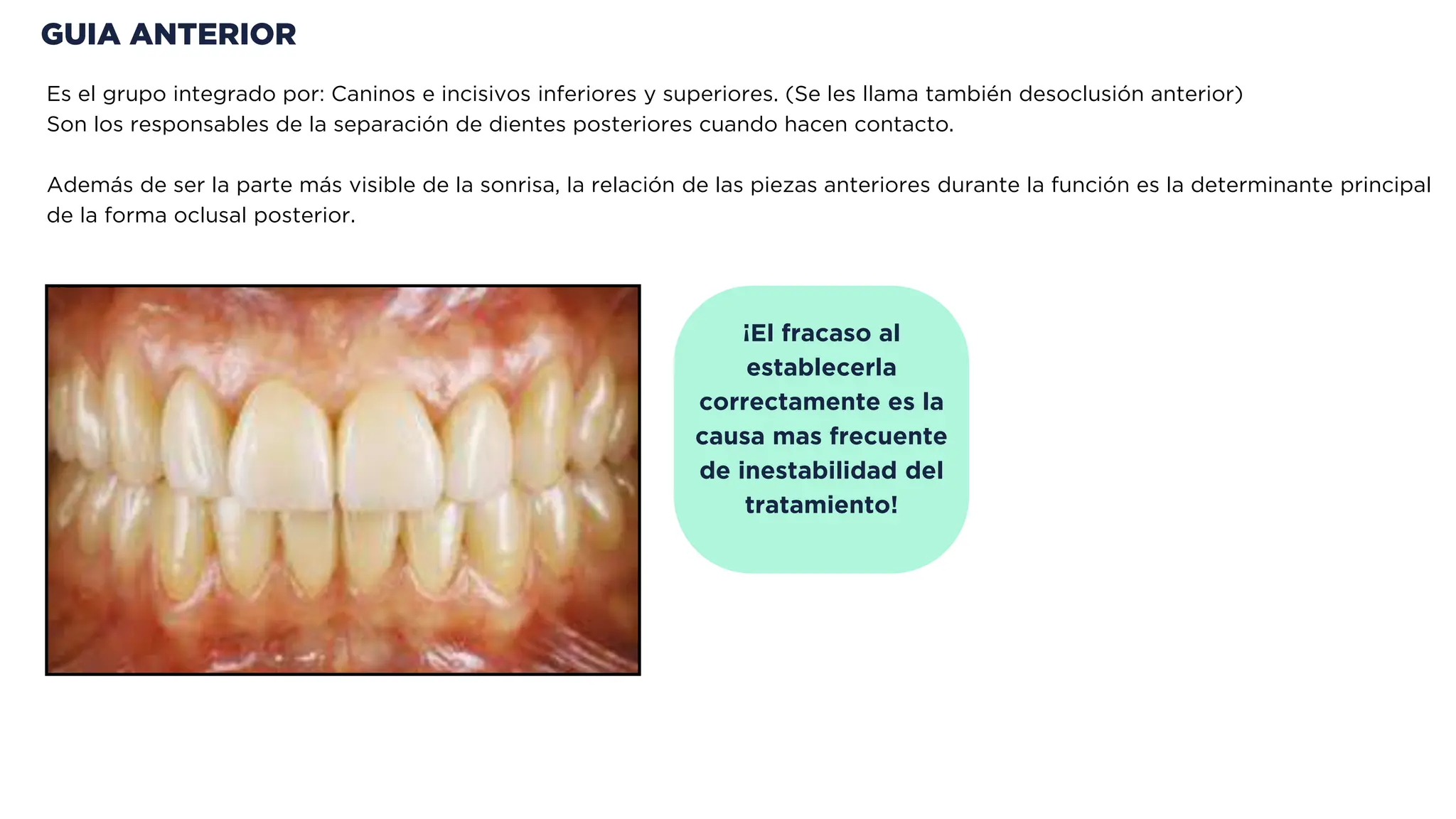 Morfología oclusal, materia de oclusión 1 | PPTX