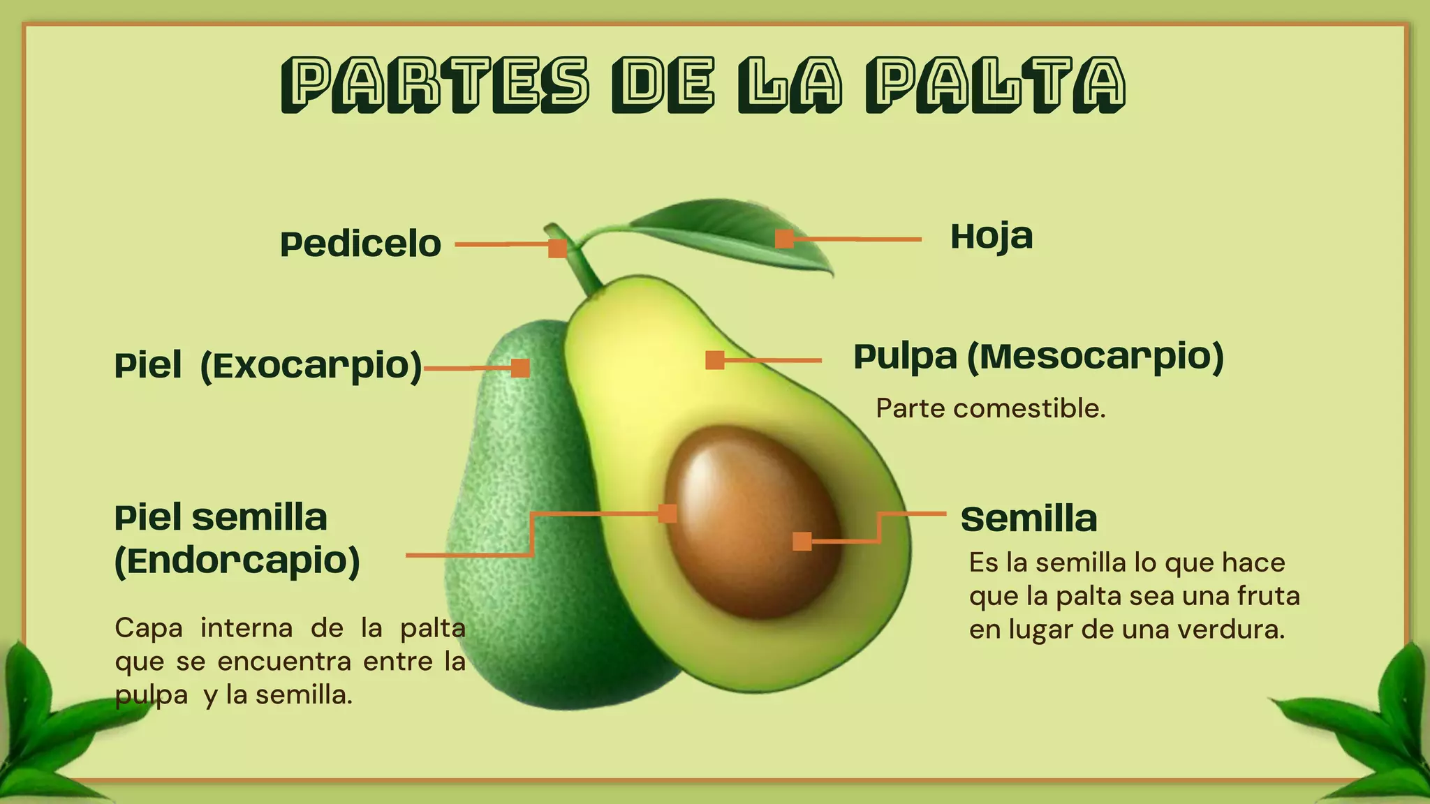 Pptx de la Palta.pptx