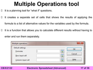PPT_X_IT-402_Electronic Spreadsheet.pptx.pdf