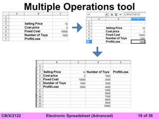PPT_X_IT-402_Electronic Spreadsheet.pptx.pdf