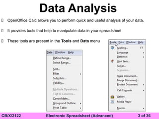 PPT_X_IT-402_Electronic Spreadsheet.pptx.pdf