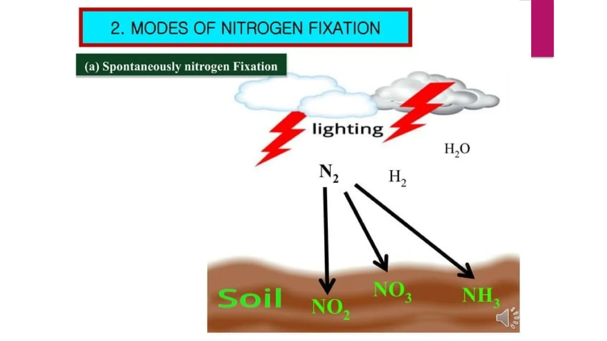 Biological Nitrogen Fixation- Root Nodules formation.pptx