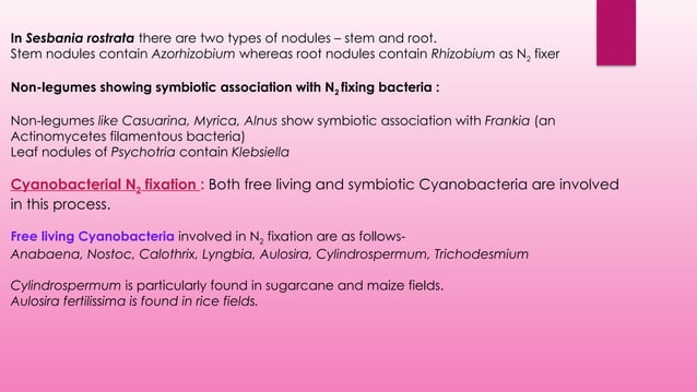 Biological Nitrogen Fixation- Root Nodules formation.pptx | Gardening | Home & Garden