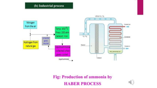 Biological Nitrogen Fixation- Root Nodules formation.pptx | Gardening | Home & Garden