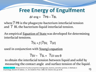 Pptx of slides for jones ray effect final | PPT